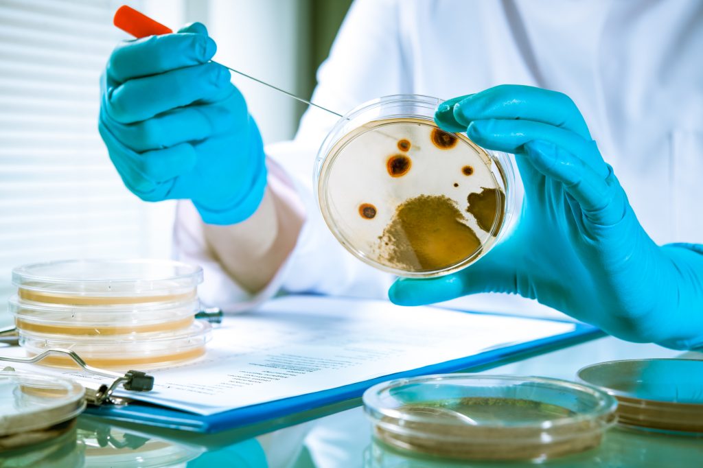 It’s All About Germs - REAL VITALITY