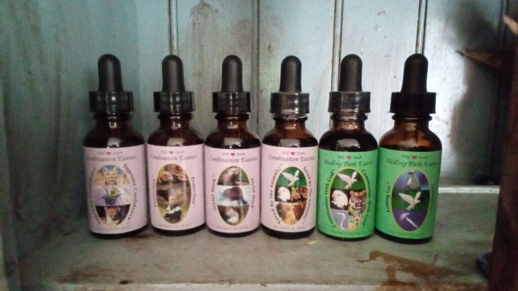 The Gentle Healing Power of Essences: A Guide to Their History ...